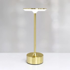 Stolní LED lampa Tavolo, 1x LED 2,5w, 3000-6000k, g