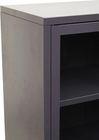 Šedá ocelová vitrína 75x150x35 cm Acier – Premier Housewares