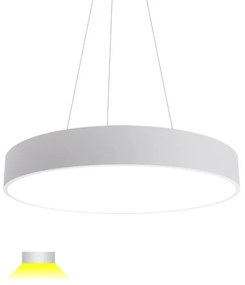 LED2 3110931D LED2 RINGO 45 P-Z, W ZÁVĚSNÉ BÍLÉ DALI/PUSH + ZÁVĚS 3119901 ESK424-SPV - LED2 Lighting