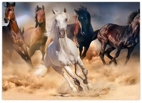 Skleněný obraz - Koně v poušti (70x50 cm)