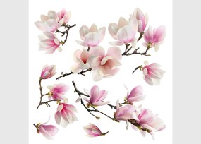Samolepka na zeď Sakura | 30 x 30 cm | DSS3879