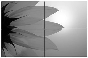 Obraz na plátně - Slunečnice květ 1201QE (90x60 cm)