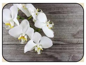 Prostírání  na korku - Bílá orchidej