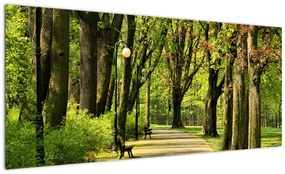 Cesta v parku - obraz (100x40cm)