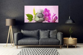 akrylový obraz Orchidej Vstavač Kameny 120x60 cm