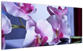 Obraz orchideje (100x40cm)