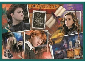 Trefl Puzzle Harry Potter, 10v1