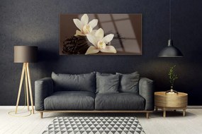 Plexisklo-obraz Květy Vanilky do Kuchyně 120x60 cm