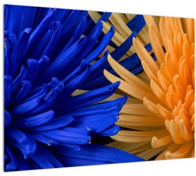 Detailní obraz květů (70x50 cm)