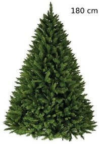 Evergreen Vánoční stromeček, kavkazský smrk - více rozměrů - 180 cm