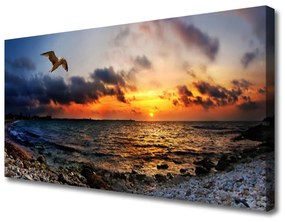 Obraz na plátně Racek Moře Pláž Krajina 100x50 cm