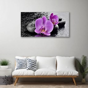 Obraz na plátně Orchidej Květiny Kameny Zen 140x70 cm