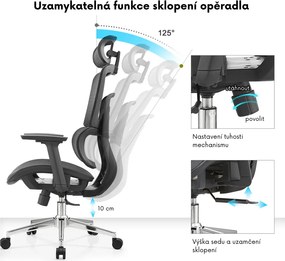 Kancelářská ergonomická židle Neoseat GARY FULLMESH — černá, nosnost 150 kg