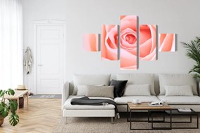 Vícedílný obraz Pastelová Růže Na 3D Makro Měřítku Nedostatek Nedostatek Plátno Canvas 250x150