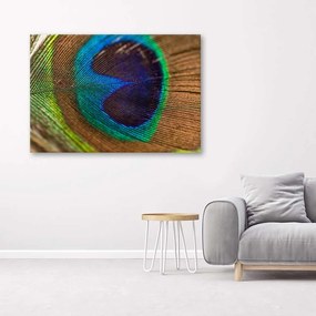 Gario Obraz na plátně Páví oko Rozměry: 60 x 40 cm