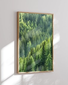 Oboustranný plakát Divoké Borovice / Mech | 30 x 42 cm | DP351317