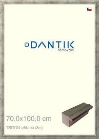 DANTIK rámeček 70x100 | TRITON stříbrná (Plexi Čiré)