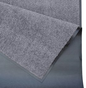 Hanse Home Collection koberce Rohožka Wash & Clean 101464 Grey ROZMĚR: 40x60