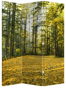 Paraván - Les na podzim (126x170 cm)