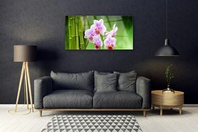 Plexisklo-obraz Bambus Orchidej Květiny Zen 100x50 cm