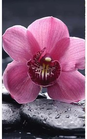 Vliesová fototapeta Orchidej 150 x 250 cm + lepidlo zdarma / MS-2-0120 vliesové fototapety na zeď DIMEX