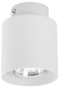 TK Lighting | Bodové svítidlo VICO WHITE 1xGU10/10W/230V | TK3406