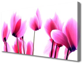 Obraz na plátně Květíny Rostlina 100x50 cm