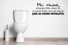 Lepy.cz Samolepka na zeď WC - Milí pánové Velikost (šířka x výška): 85x33cm, Barevná varianta: Tyrkysová modrá