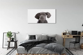 akrylový obraz hnědý pes 125x50 cm