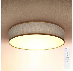 Brilagi - LED Stmívatelné stropní svítidlo CARMEN LED/48W/230V 3000-6500K + DO