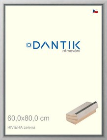 DANTIK rámeček 60x80 | RIVIERA zelená (Plexi Čiré)