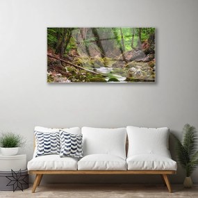 Obraz na skle Les Mech Příroda 100x50 cm