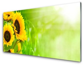 akrylový obraz Slunečníce Rostlina 125x50 cm