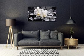 Plexisklo-obraz Kameny Zen Bílá Orchidej 100x50 cm