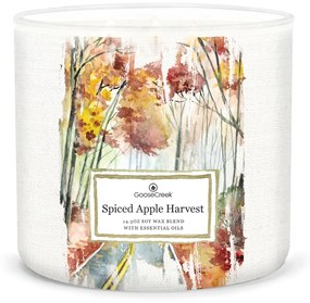 Goose Creek Candle svíčka Spiced Apple Harvest, 411 g