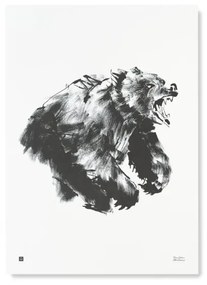 Teemu Järvi Plakát s motivem medvěda Roaring bear 50x70