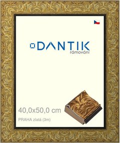 DANTIK rámeček 40x50 | PRAHA zlatá (Plexi Čiré)