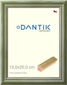 DANTIK rámeček 15x20 | Y-ka zelená linka (Sklo Čiré)