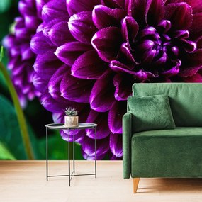 Samolepící fototapeta nádherný fialový květ - 375x250 cm