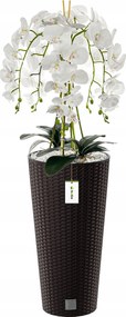 Orchidej umělá bílá kytice květy listy oblázky květináč Umbra H 110 cm