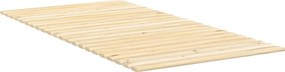 vidaXL Lamelový rošt 100 x 200 cm masivní borové dřevo [377310]