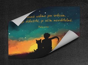 Plakát - Správně vidíme jen srdcem. Malý princ, liška (siluety) FeelHappy.cz Velikost plakátu: A0 (84 x 119 cm)