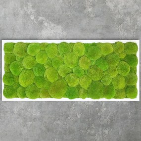 WOODILO Mechový obraz 214 | prémiový kopečkový mech (kulatý) | světle zelená Rozměr obrazu: 100x100 cm, Barva rámu: Bílá, Síla rámu (pohledová): 2,5 cm