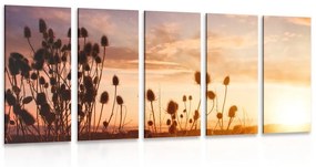 5-dílný obraz stébla trávy při východu slunce - 200x100 cm