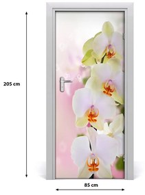 Samolepící fototapeta na dveře Bílá orchidej 85x205 cm