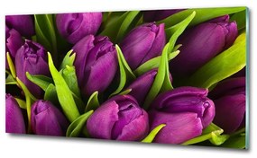 Wallmuralia Fotoobraz na skle Fialové tulipány 100x50