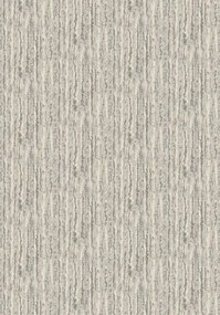 Koberec vlněný Agnella Agnus Rhone Šedý Rozměr: 200x300 cm