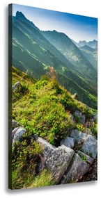 Wallmuralia Vertikální Vertikální Foto obraz na plátně do obýváku Hory létem 50x100