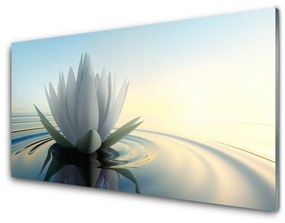 Obraz na skle Vodní Lilie Rybník Příroda 120x60 cm