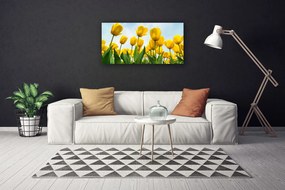 Obraz na plátně Tulipány Květiny Rostlina 120x60 cm